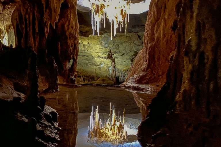 Visit the Naracoorte Caves National Park