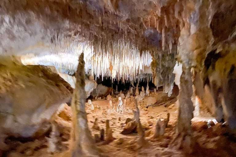 Visit the Naracoorte Caves National Park