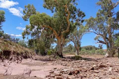 23 Great Things to do in the Flinders Ranges {2024}