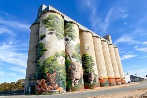 The Ultimate Guide to South Australia's Silo Art Trail