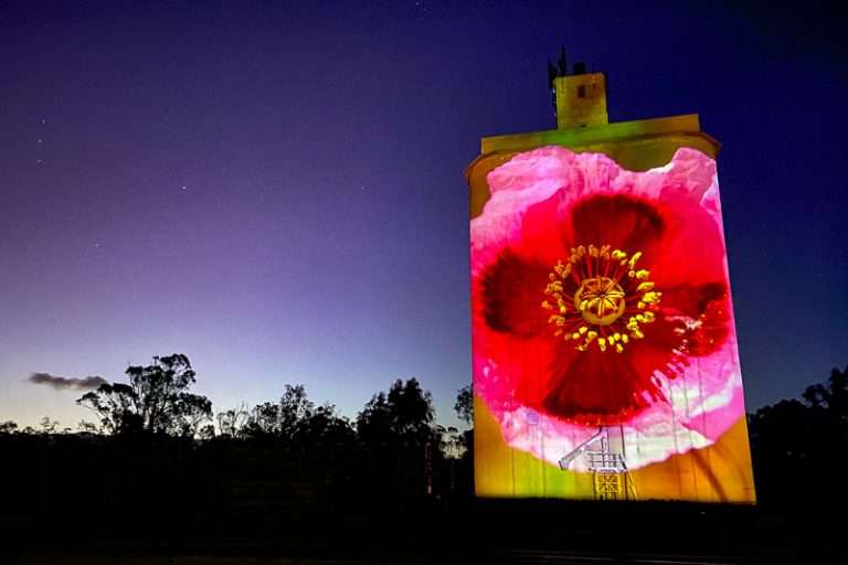 The Ultimate Guide to South Australia's Silo Art Trail