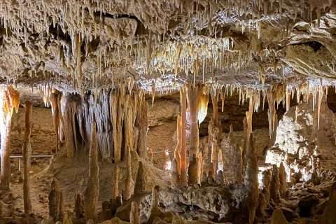 Visit the Naracoorte Caves National Park