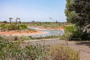 19 Best Things to do in Whyalla