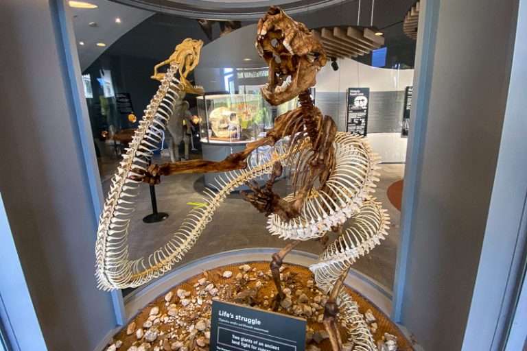 Visit the Naracoorte Caves National Park