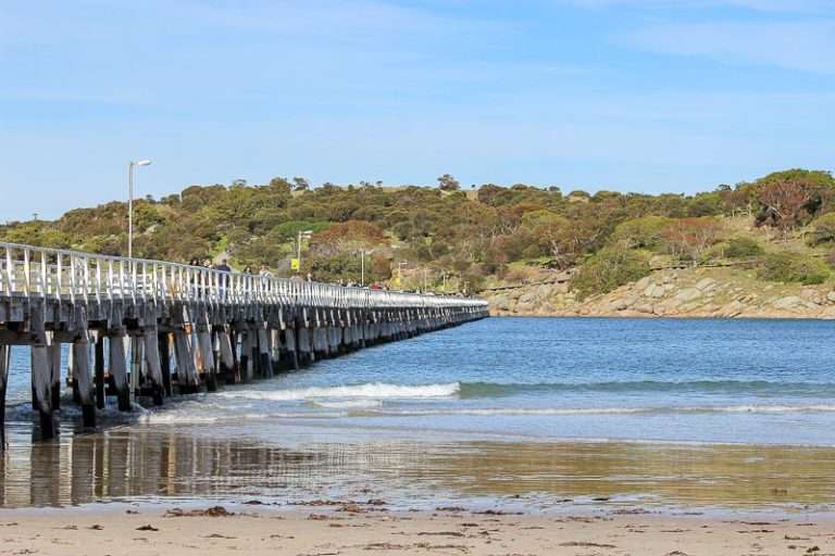 27 Top Things to do in Victor Harbor