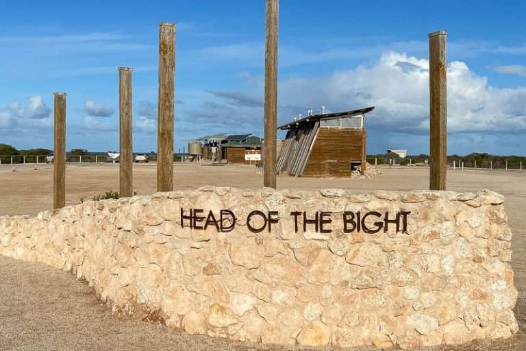 Head of the Bight Whale Watching