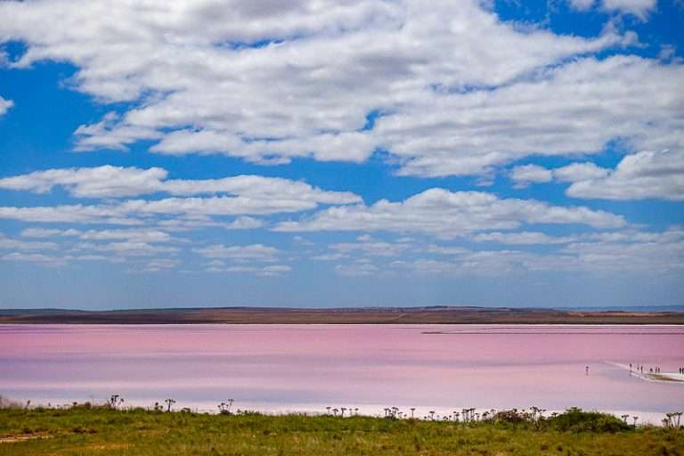 Discover 20 Top Things to do in Clare Valley