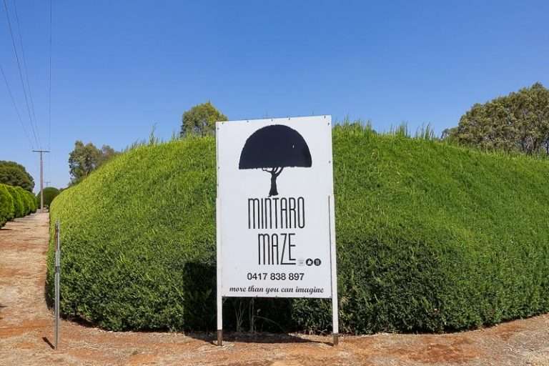 Discover 20 Top Things to do in Clare Valley