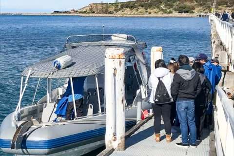 27 Top Things to do in Victor Harbor