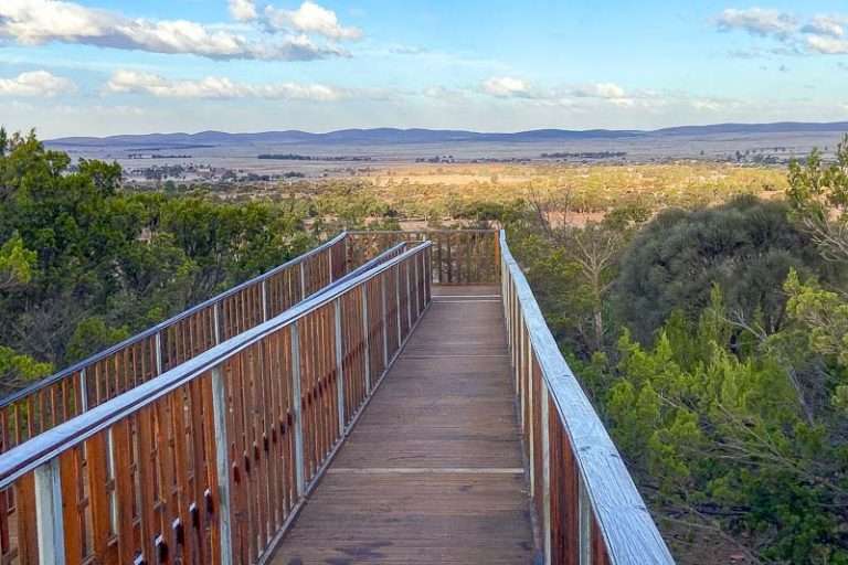 21 Excellent Peterborough SA Attractions to Add to Your Visit