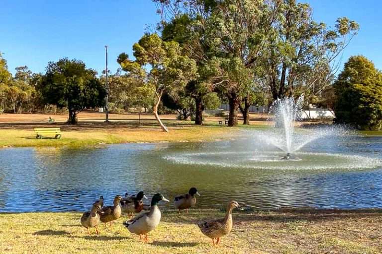 21 Excellent Peterborough SA Attractions to Add to Your Visit