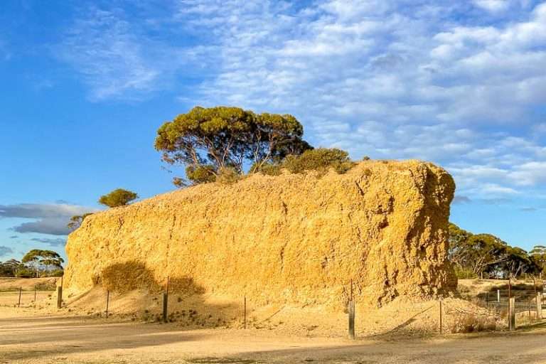 22 Things to do in Mannum