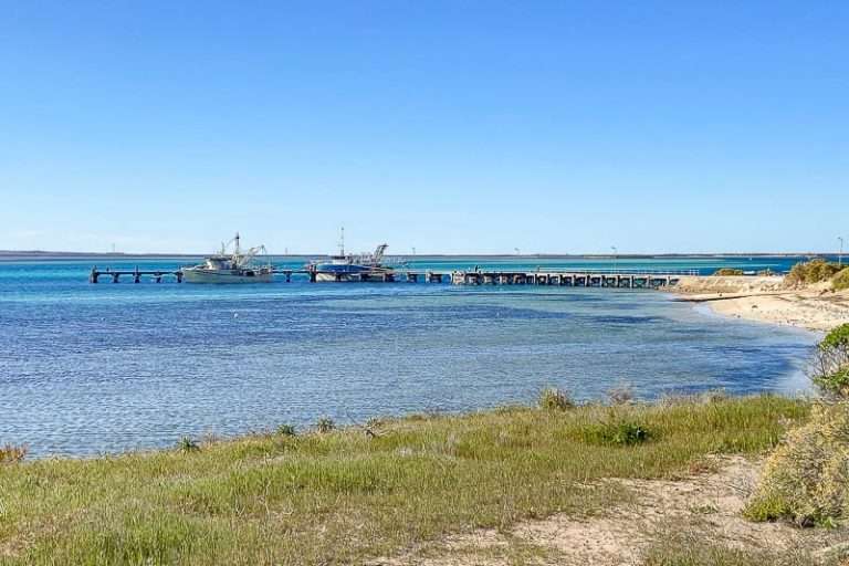 Venus Bay Beachfront Tourist Park Review