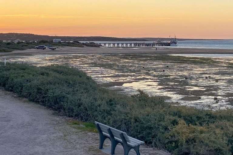 Venus Bay Beachfront Tourist Park Review
