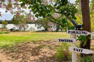 23 Things to do in Loxton