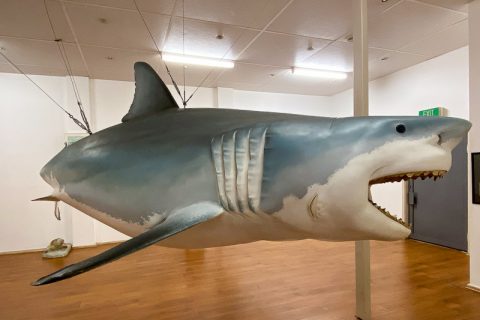 21 Great Things to do in Streaky Bay