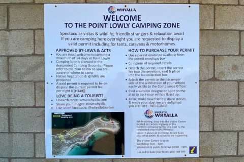 Seeing the Giant Cuttlefish at Whyalla (Without getting wet!)