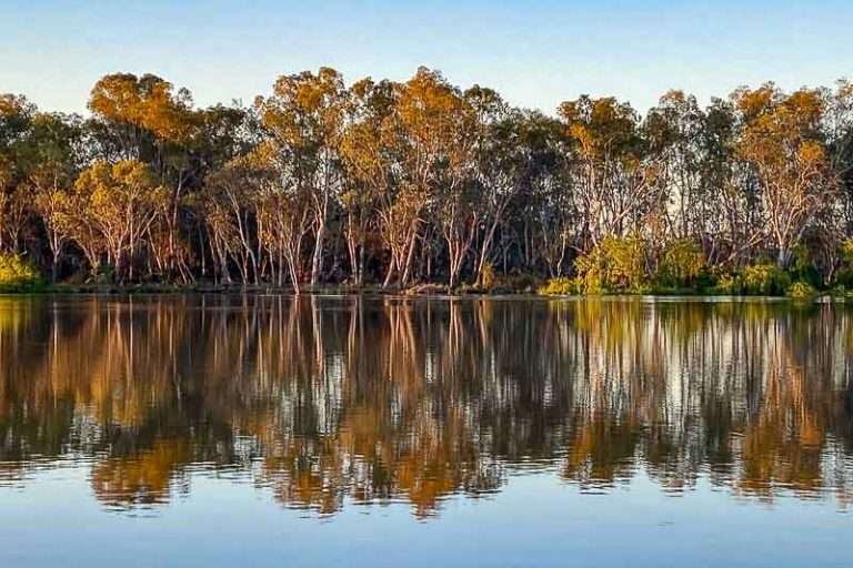 22 Interesting & Fun Things to do in Renmark