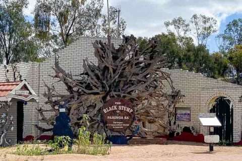 22 Interesting & Fun Things to do in Renmark