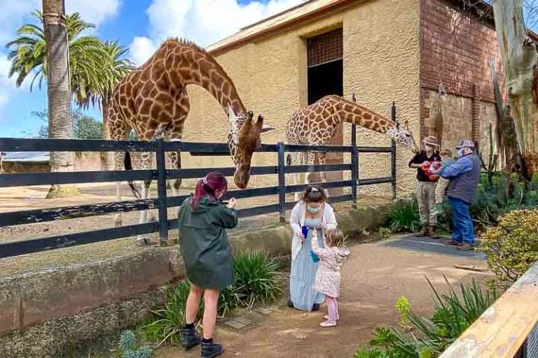 Which Adelaide Wildlife Park to Visit