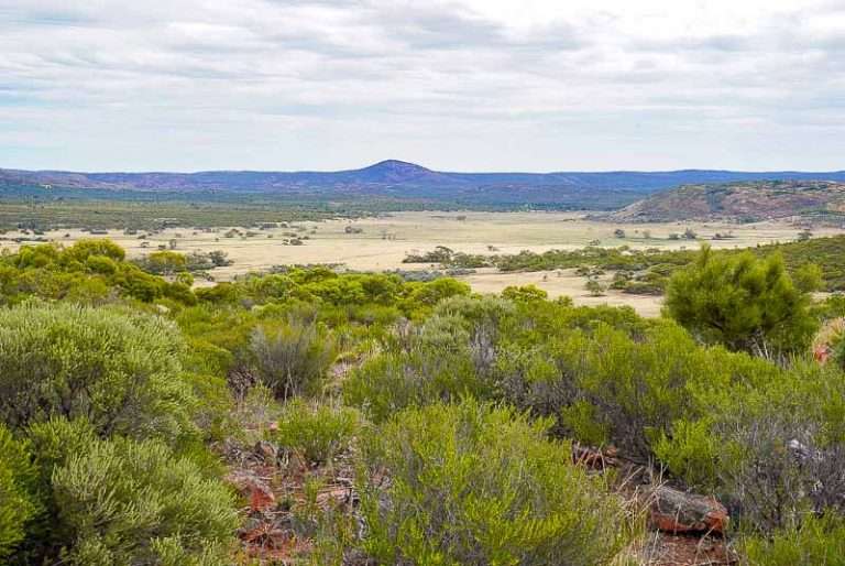 Exploring the Gawler Ranges National Park