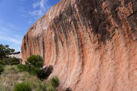 Road Trip From Adelaide to Nullarbor Roadhouse