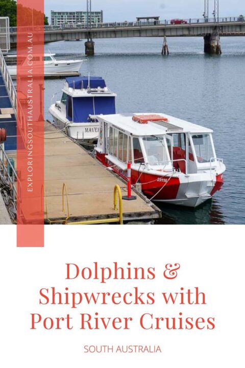 Dolphins & Shipwrecks with Port River Cruises