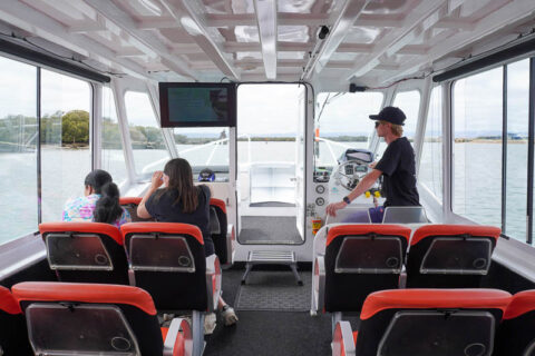 Dolphins & Shipwrecks with Port River Cruises