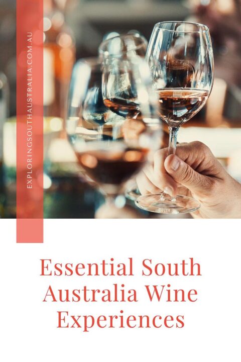 13 Essential South Australia Wine Experiences