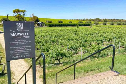 25 Things to do in McLaren Vale that Aren't Wine Tasting