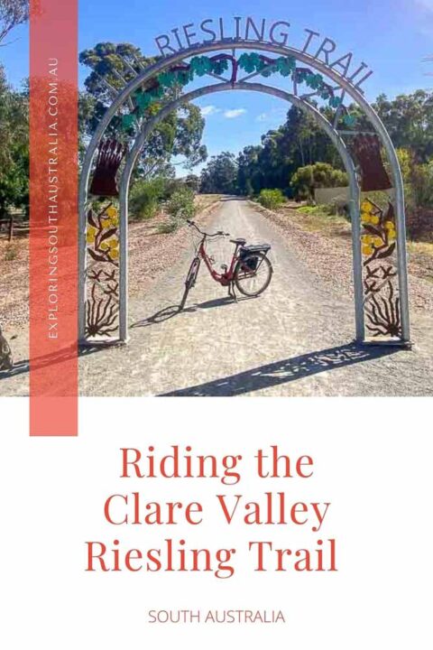 Riding the Clare Valley Riesling Trail