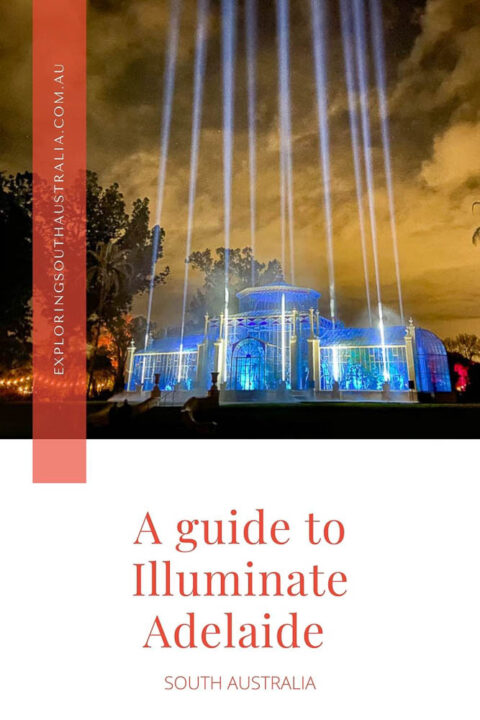 Illuminate Adelaide Guide