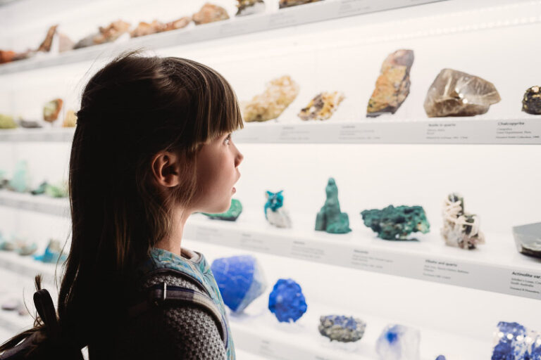 25 Fun Things to do in Adelaide