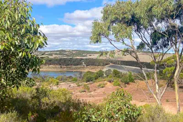 Enjoying the Reservoirs in South Australia