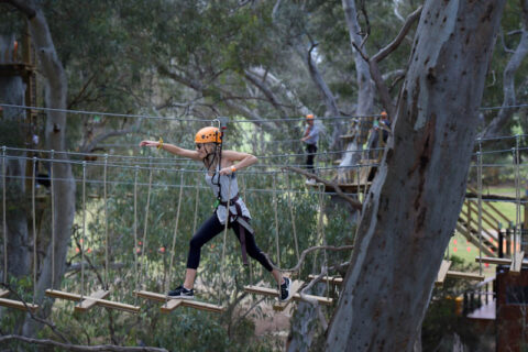 25 Fun Things to do in Adelaide