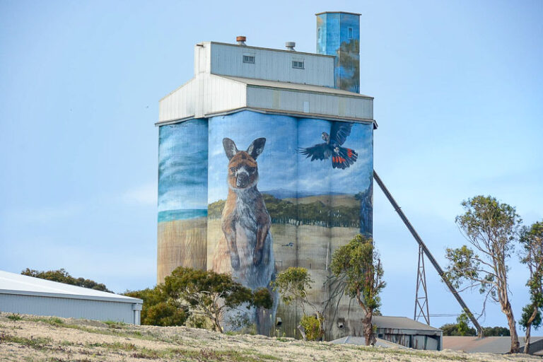 The Ultimate Guide to South Australia's Silo Art Trail
