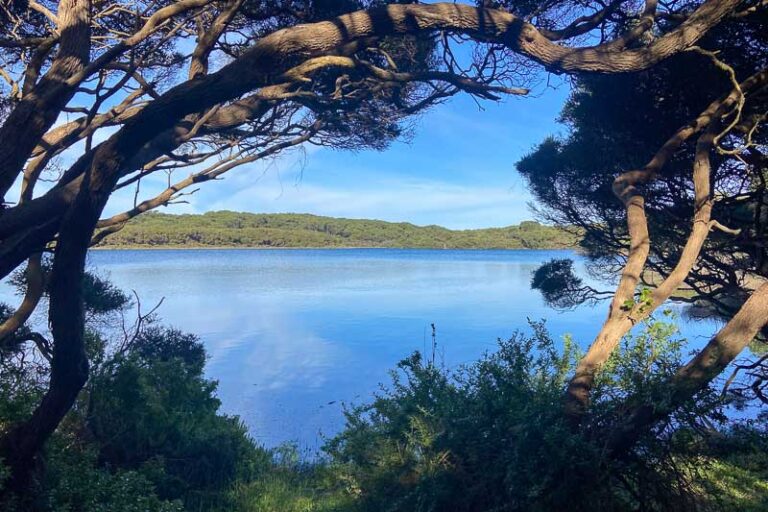 60+ Ultimate Things to do in Robe