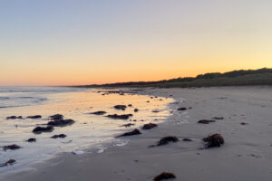 60+ Ultimate Things to do in Robe