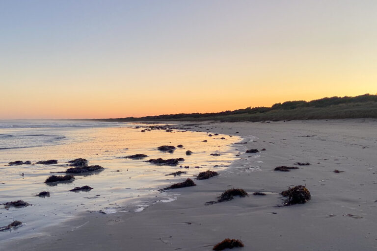 60+ Ultimate Things to do in Robe