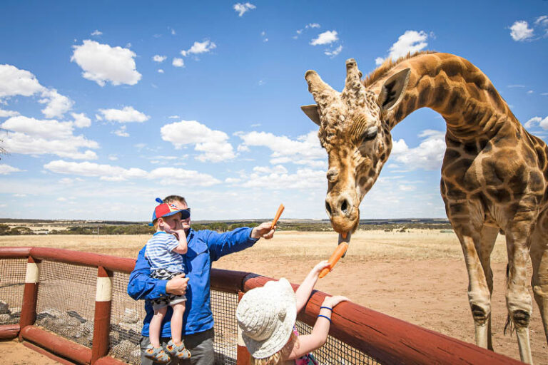 What to do in Adelaide with Kids: 37 Fun Activities