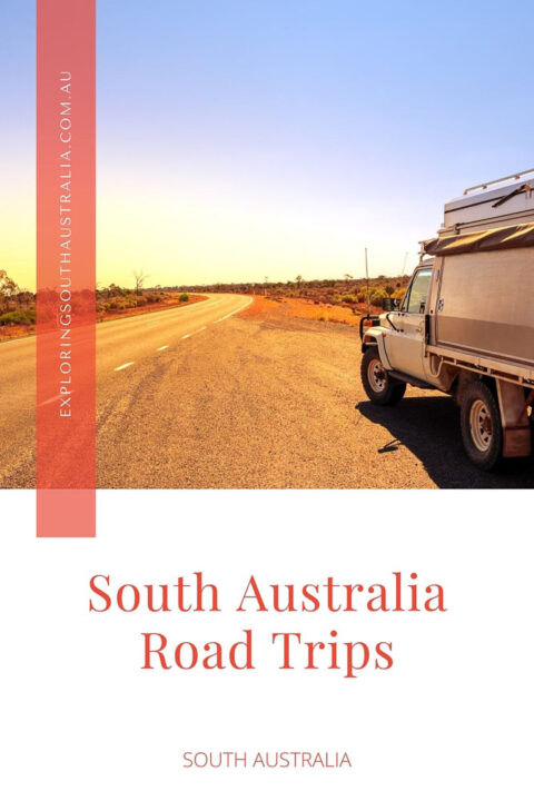 7 Top South Australia Road Trips