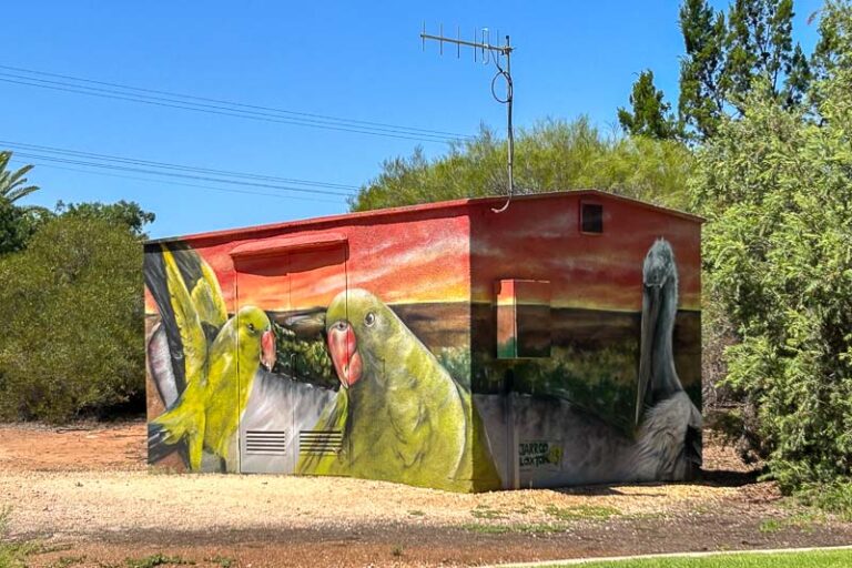 23 Things to do in Loxton