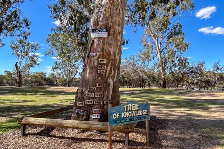 23 Things to do in Loxton