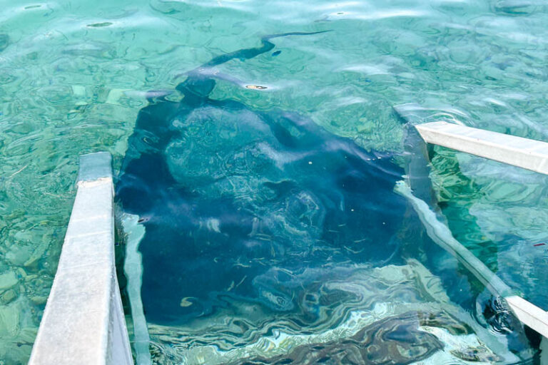 Yorke Peninsula: Three Days of Sights and Secrets