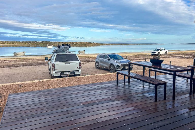 Swimming with Sea Lions at Baird Bay