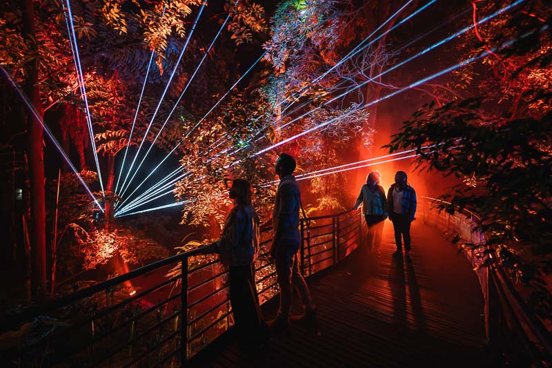 Illuminate Adelaide Guide